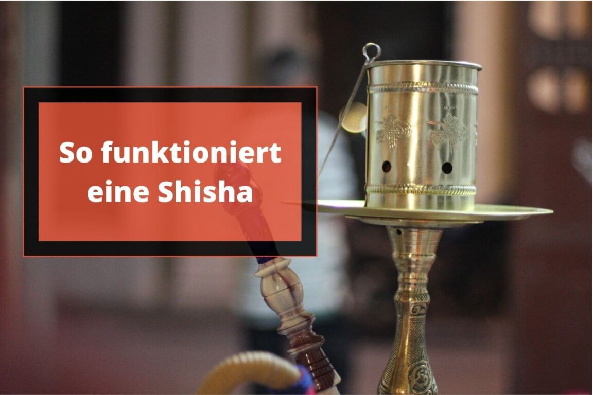 Alle Shisha Anleitungen im Überblick | Shisha Markt
